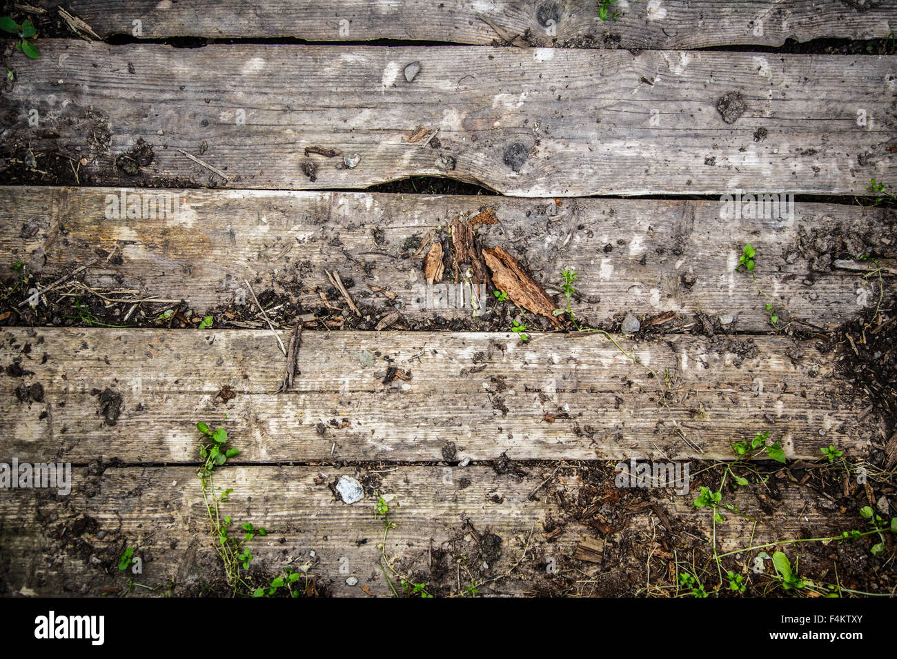 Wooden cracked log material as background closeup Stock Photo - Alamy