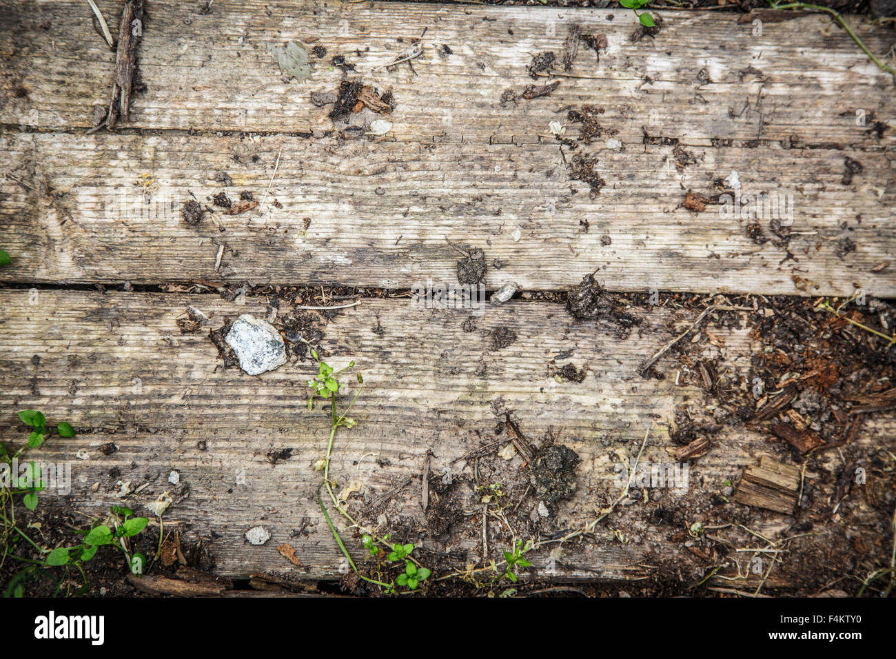 Wooden cracked log material as background closeup Stock Photo - Alamy