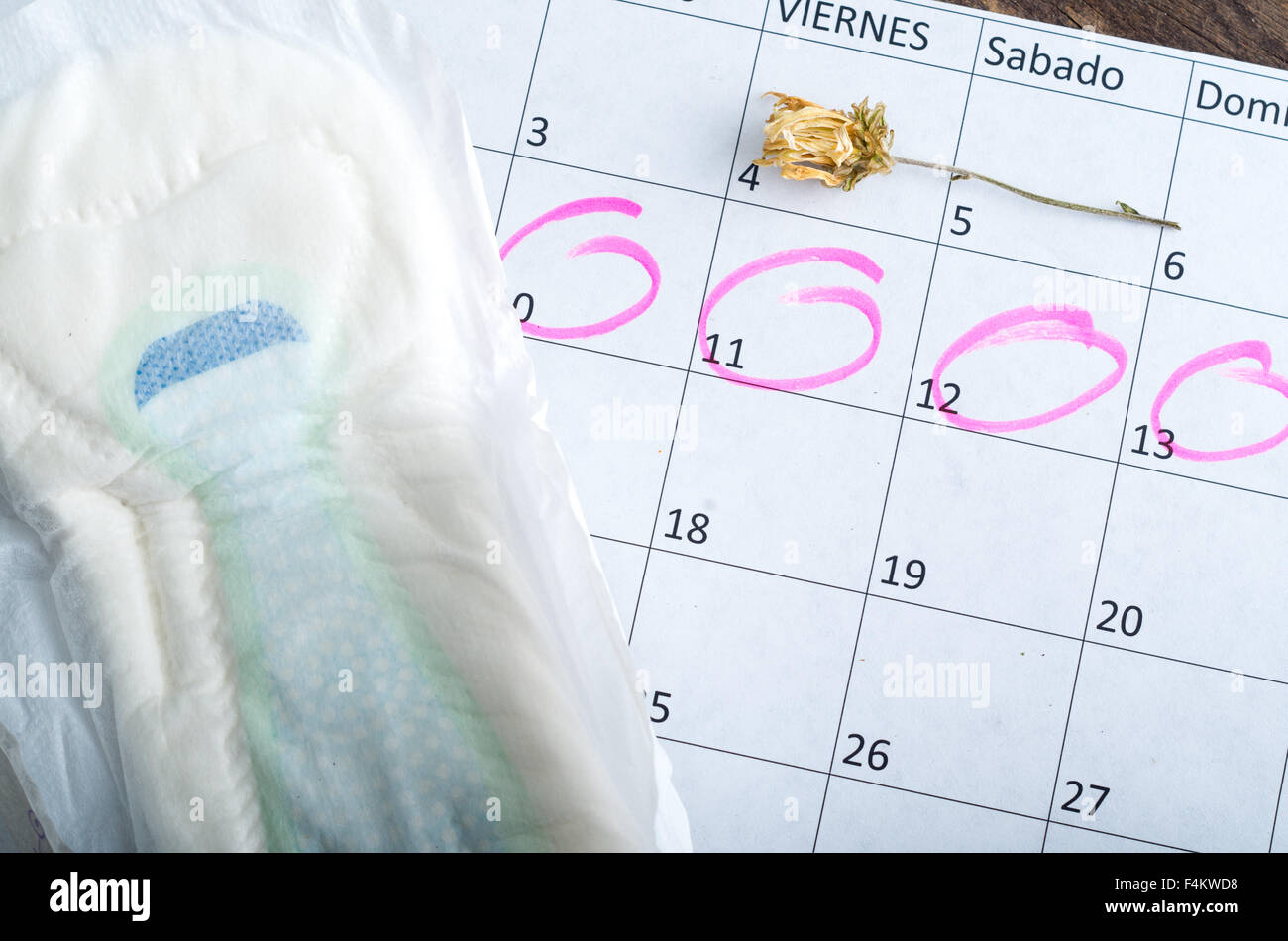 White calendar with pink circles around menstruation date period and ...