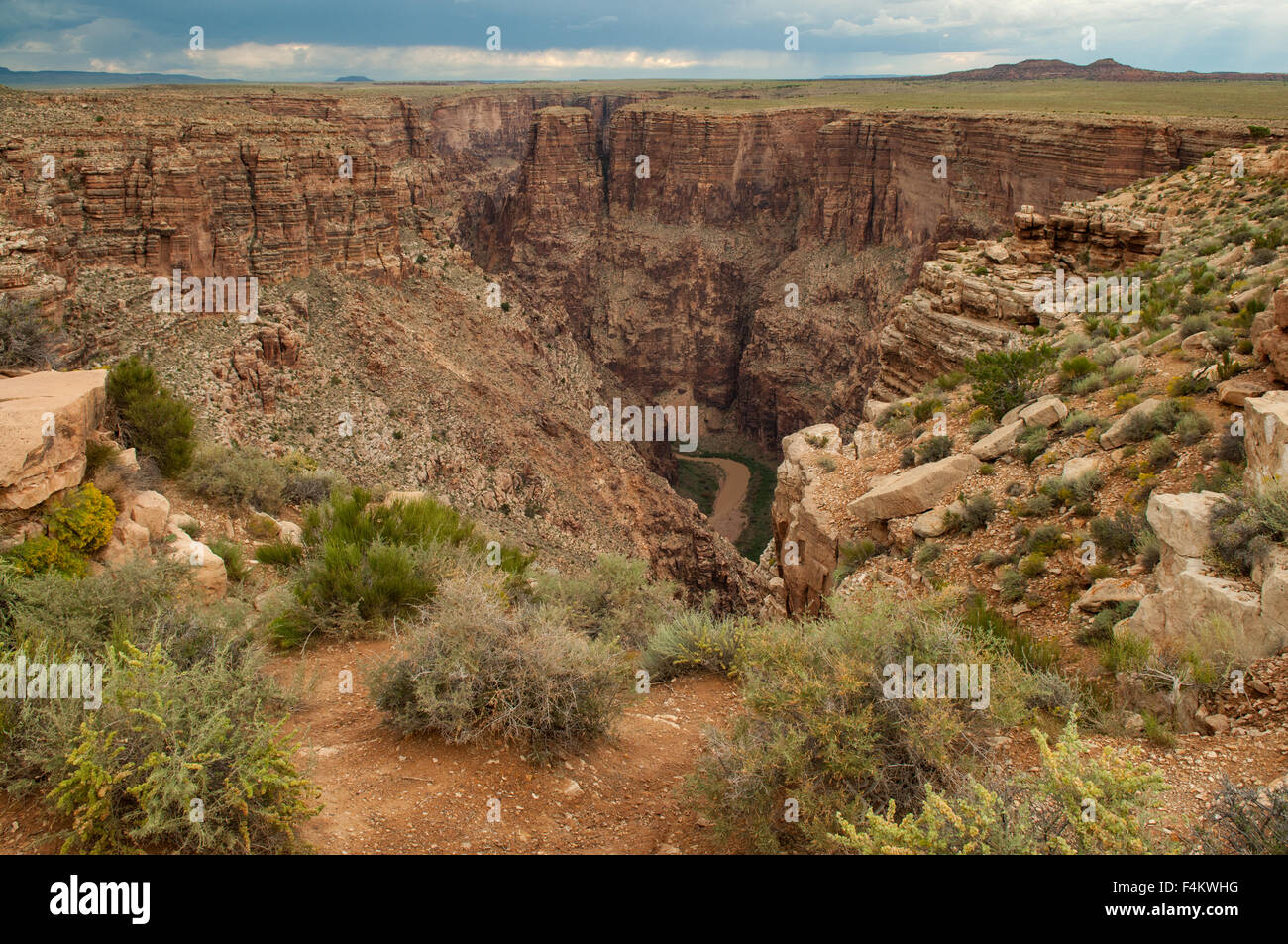 Little Colorado River Canyon, Arizona, USA Stock Photo - Alamy