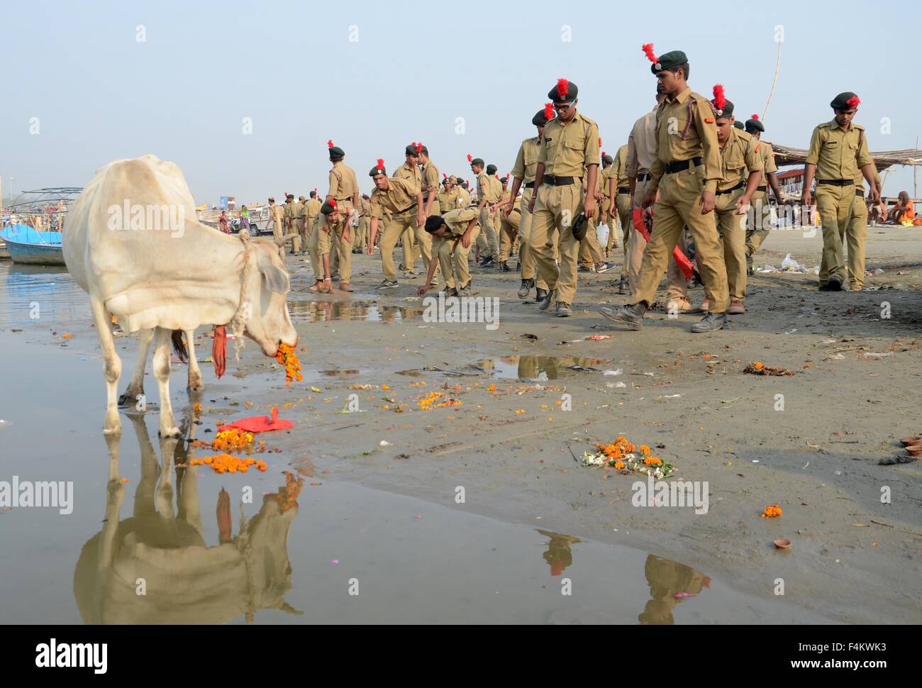 Allahabad, India. 20th Oct, 2015. NCC cadets clean the bank of River ...