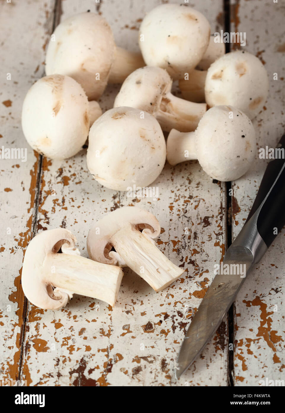 Button edible common white field mushroom hi-res stock photography and ...
