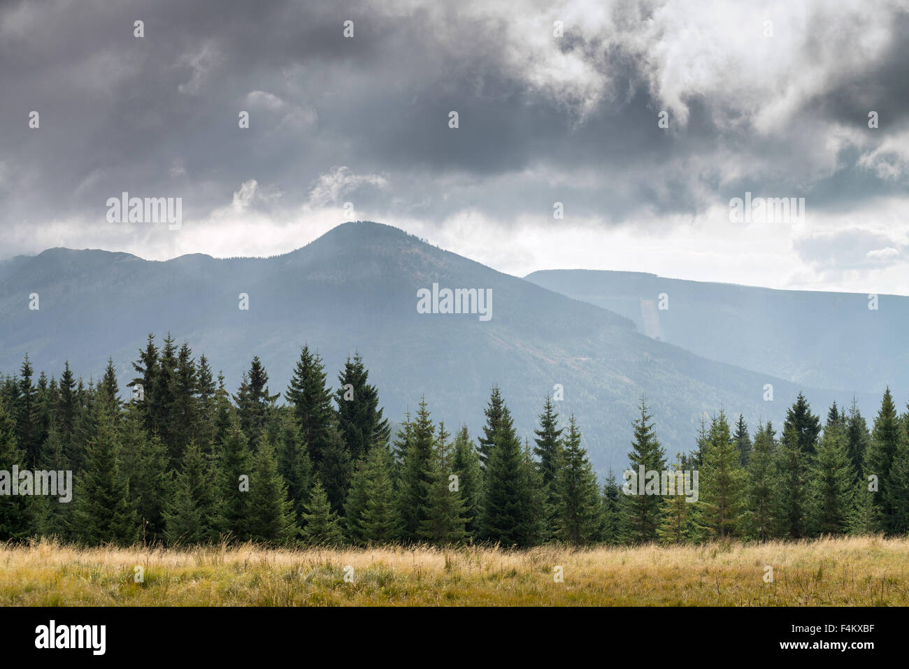 Krkonose National Park, Giant Mountains National Park, Eastern Bohemia ...