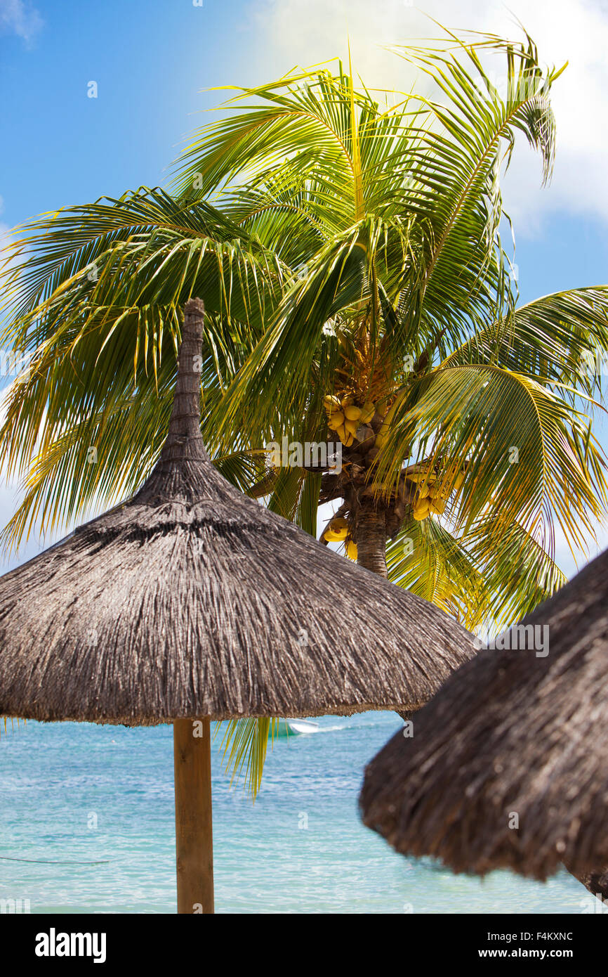 Mauritius island beach sunbathing hi-res stock photography and images ...
