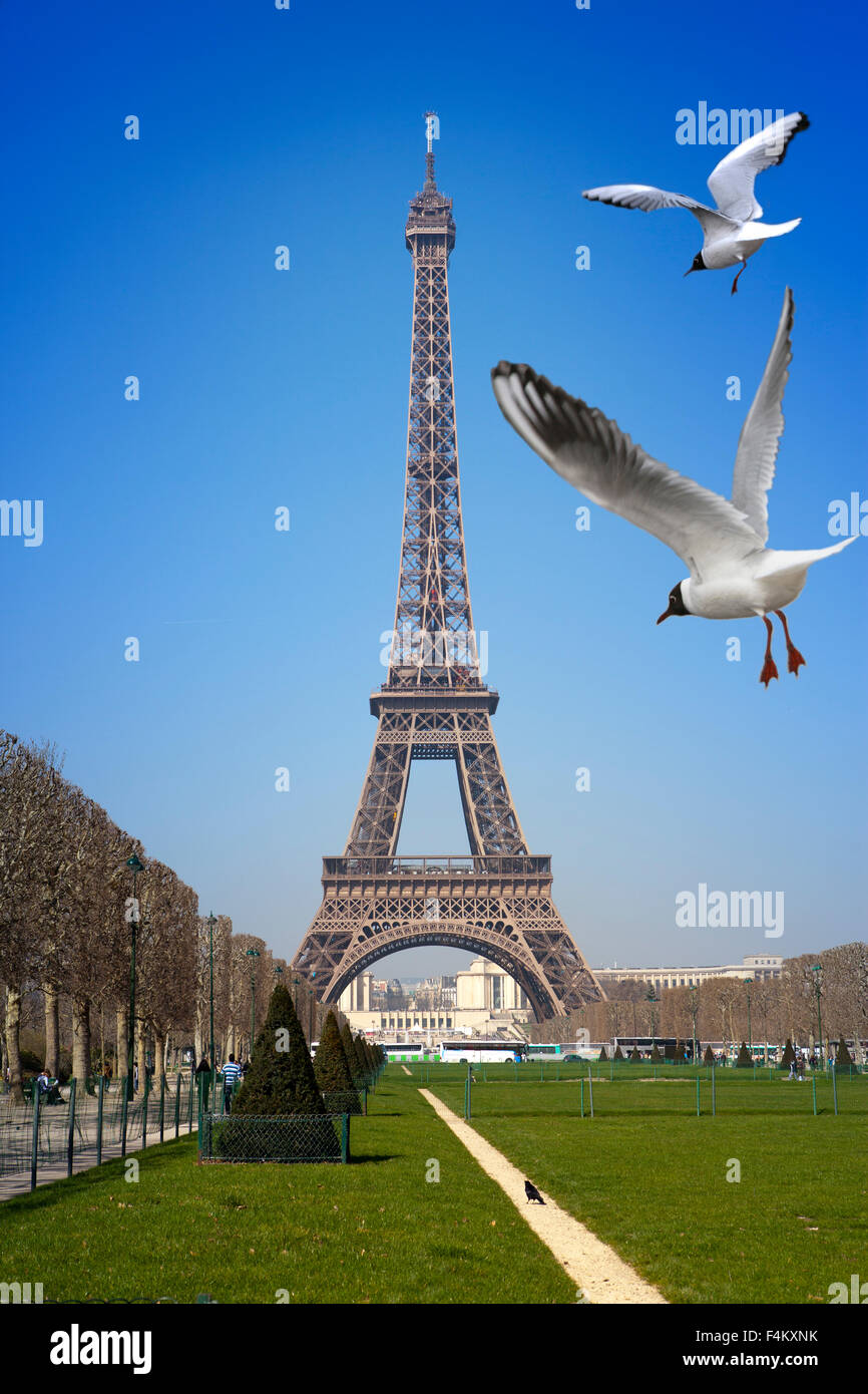 Eiffel tower tree view hi-res stock photography and images - Alamy