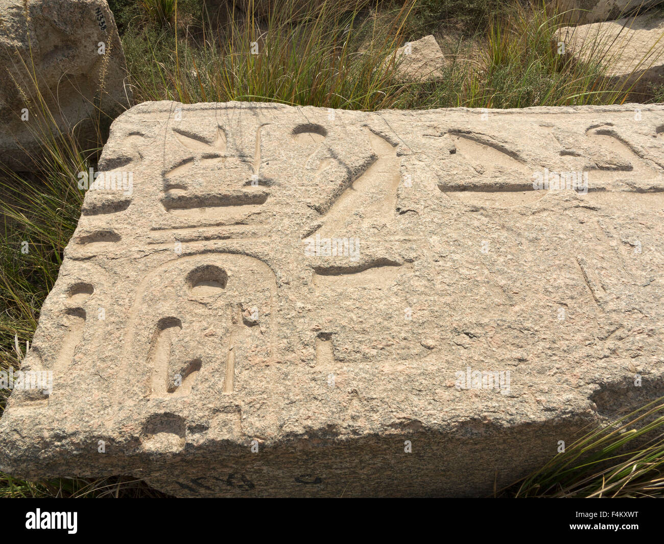 The site of ancient Bast, Tell Basta, classical Bubastis southeast of ...