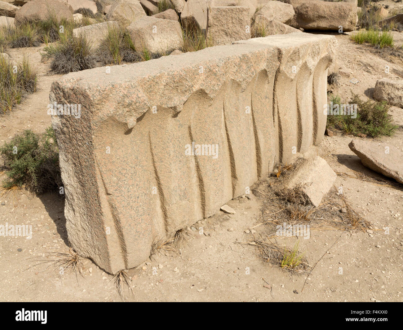 Ancient egyptian cat cemetery hi-res stock photography and images - Alamy