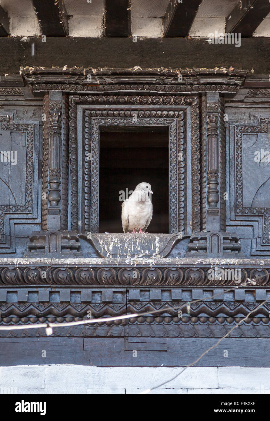 Tirupati temple hi-res stock photography and images - Alamy