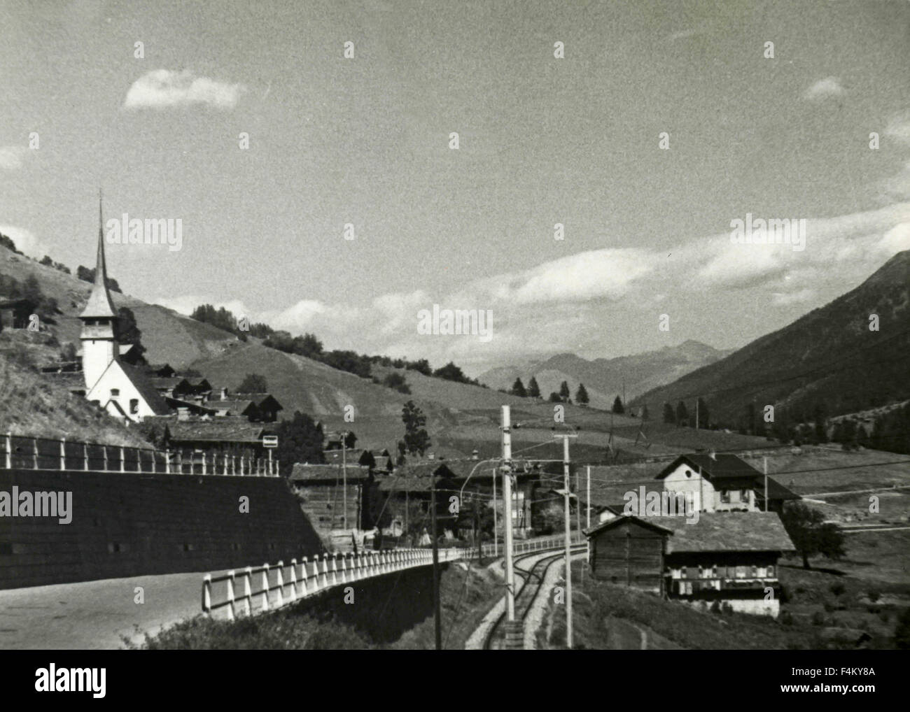 Bell morel hi-res stock photography and images - Alamy