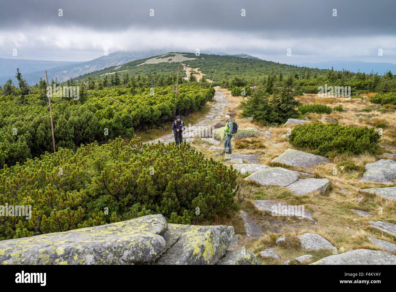 Krkonose National Park, Giant Mountains National Park, Eastern Bohemia ...