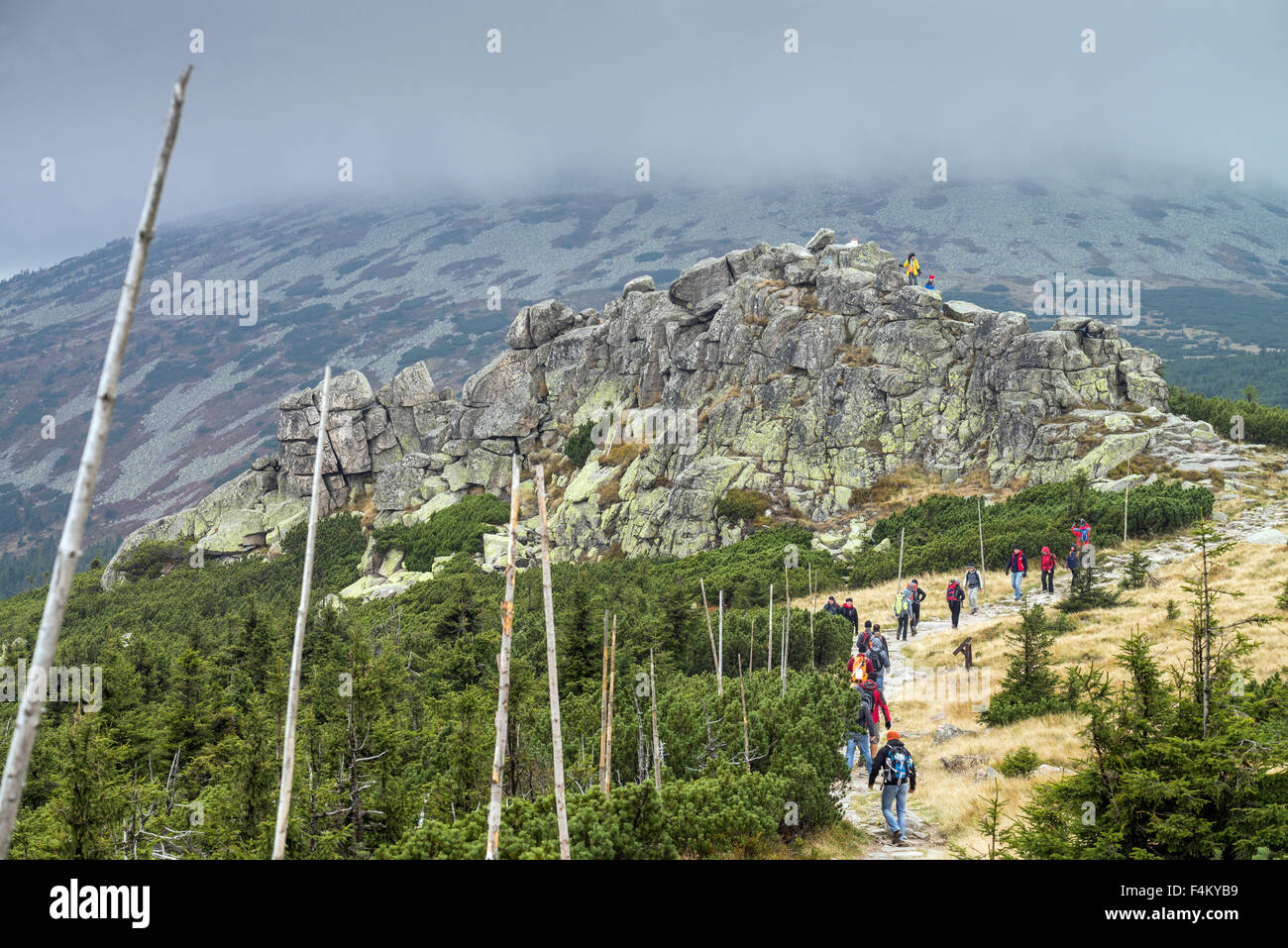Krkonose National Park, Giant Mountains National Park, Eastern Bohemia ...