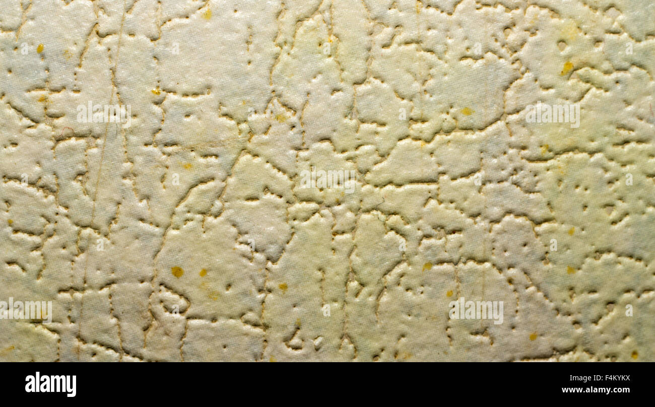 impressive wall-paper with strips of different width Stock Photo - Alamy