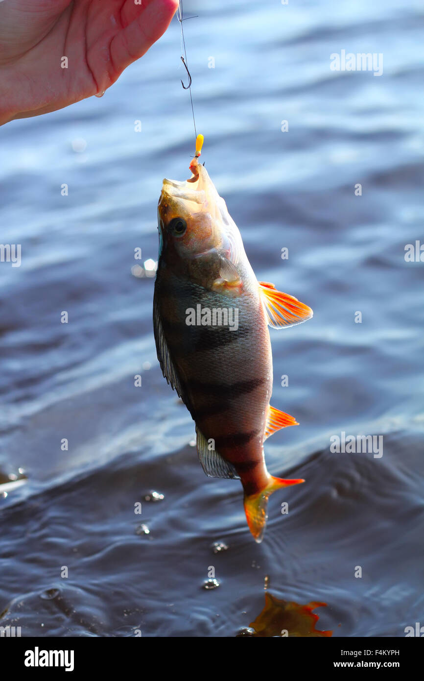 Successful fishing on river hi-res stock photography and images - Alamy