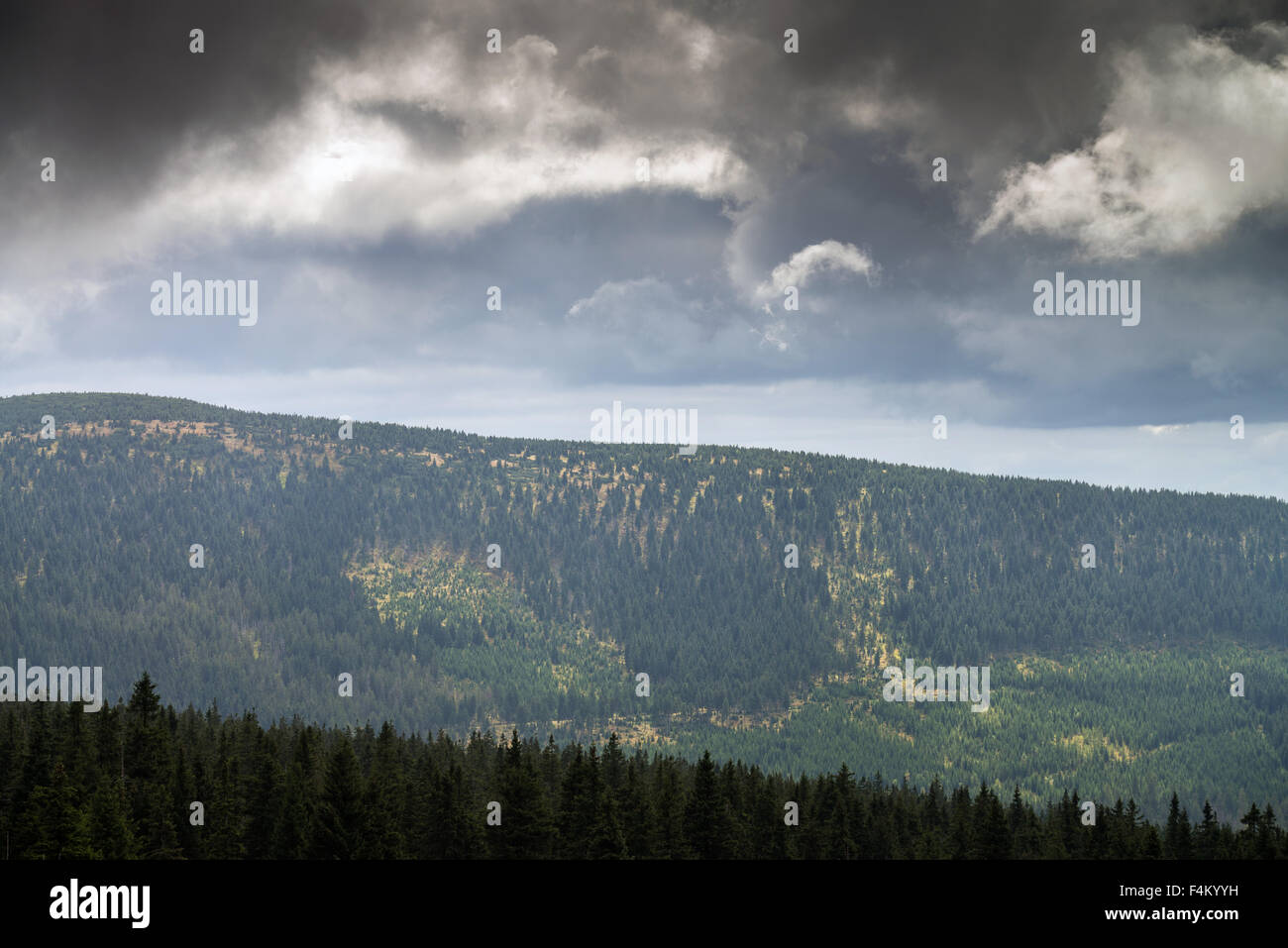 Krkonose National Park, Giant Mountains National Park, Eastern Bohemia ...