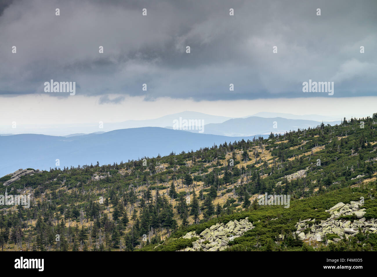 Krkonose National Park, Giant Mountains National Park, Eastern Bohemia ...
