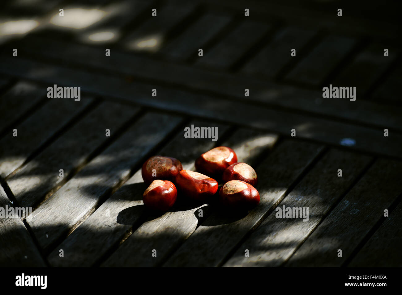 Conkers shade hi-res stock photography and images - Alamy