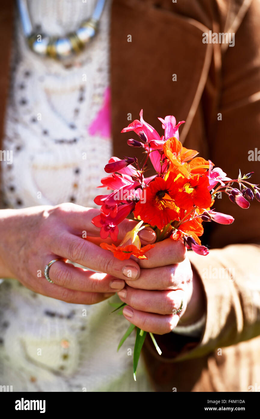Posies hi-res stock photography and images - Alamy