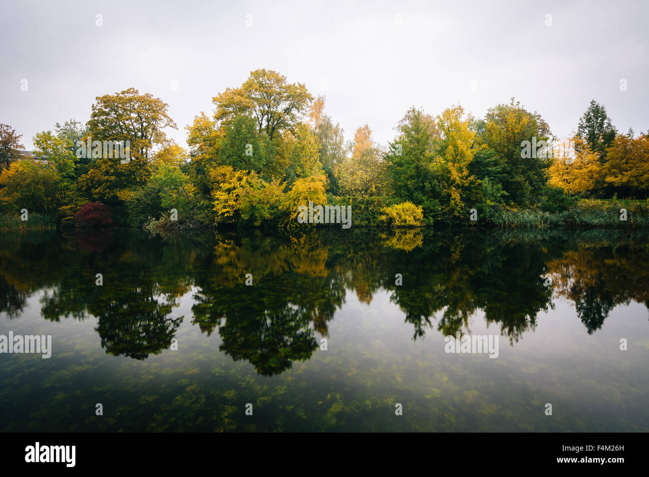 Early autumn color and a lake at Østre Anlæg, in Copenhagen, Denmark ...