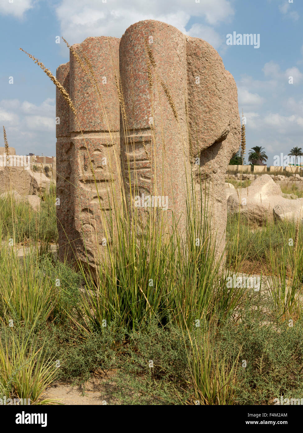 Ancient egyptian cat cemetery hi-res stock photography and images - Alamy