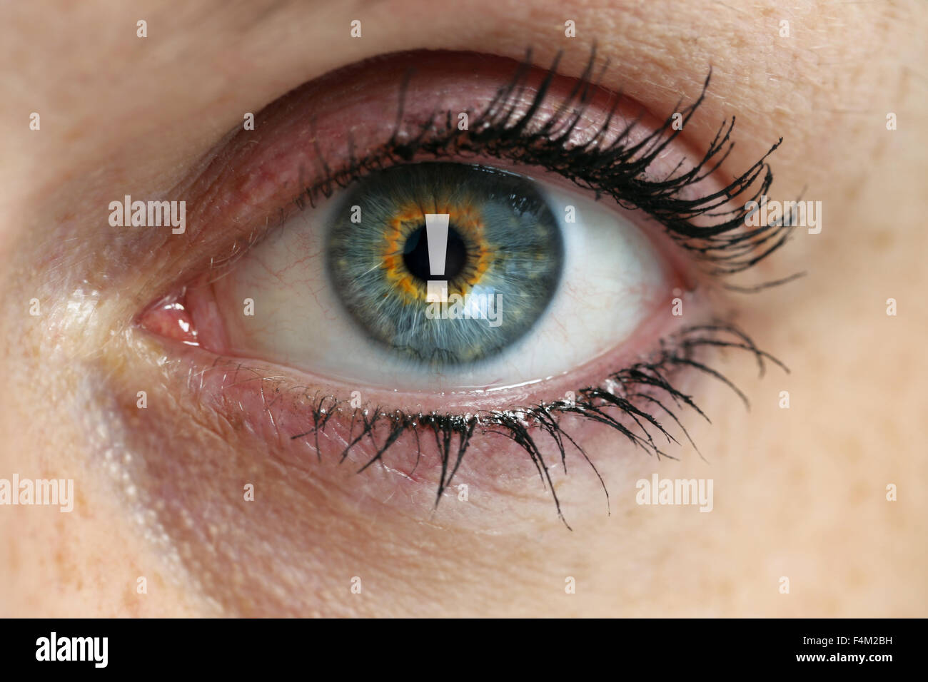 Eye concept with exclamation mark in the pupil Stock Photo - Alamy