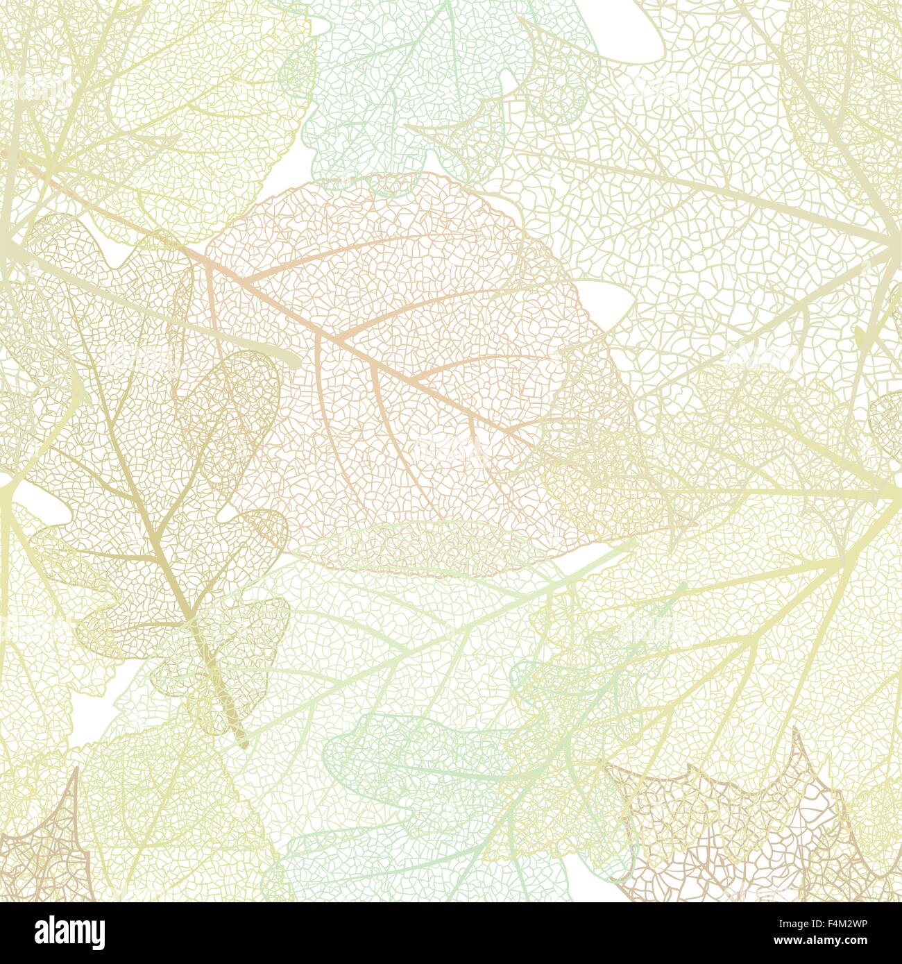 Detailed leaf structure Stock Vector Images - Alamy