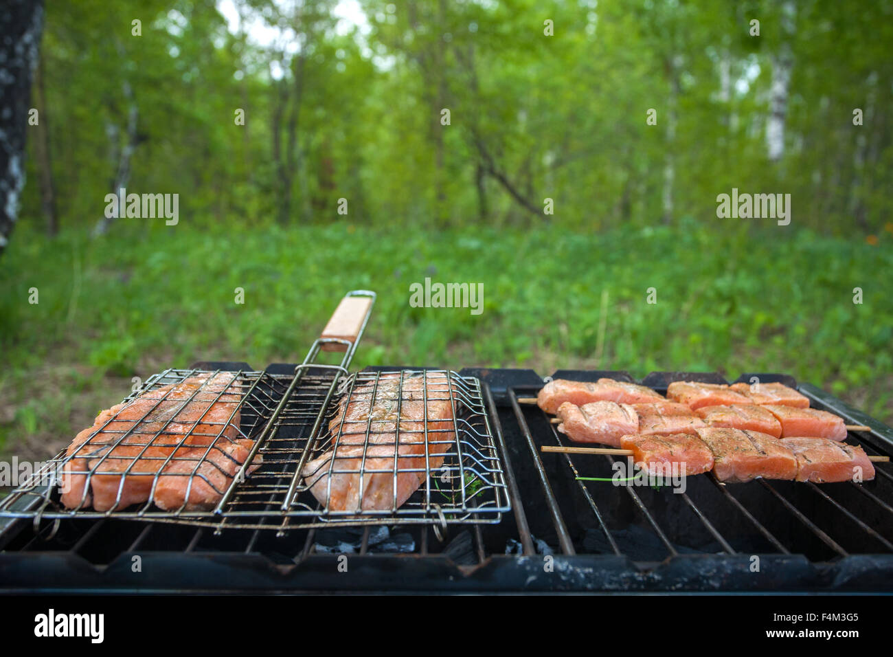 Grilling fish on stick hi-res stock photography and images - Alamy
