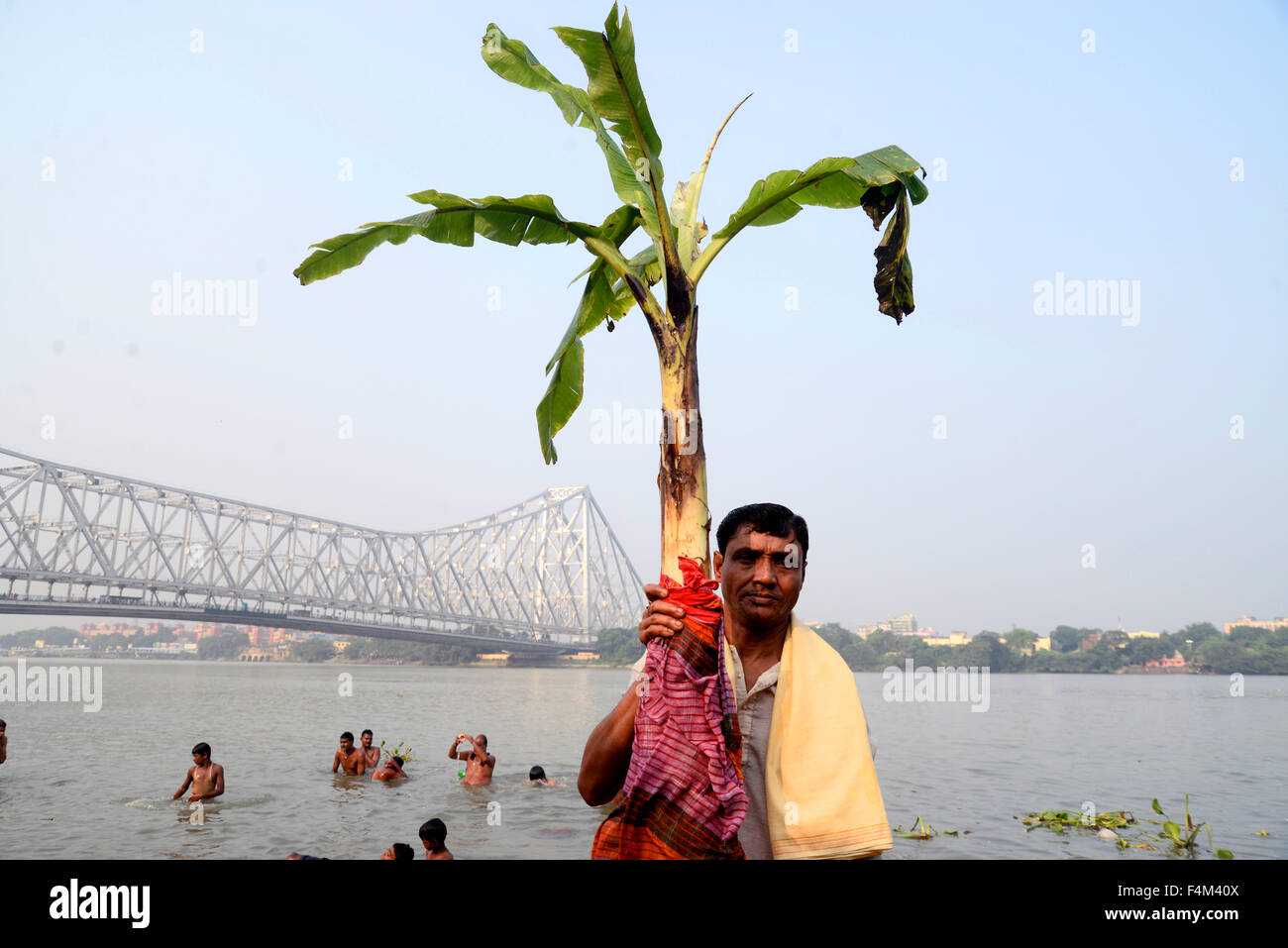 Kolkata, India. 20th Oct, 2015. A man holding a banana tree on the ...