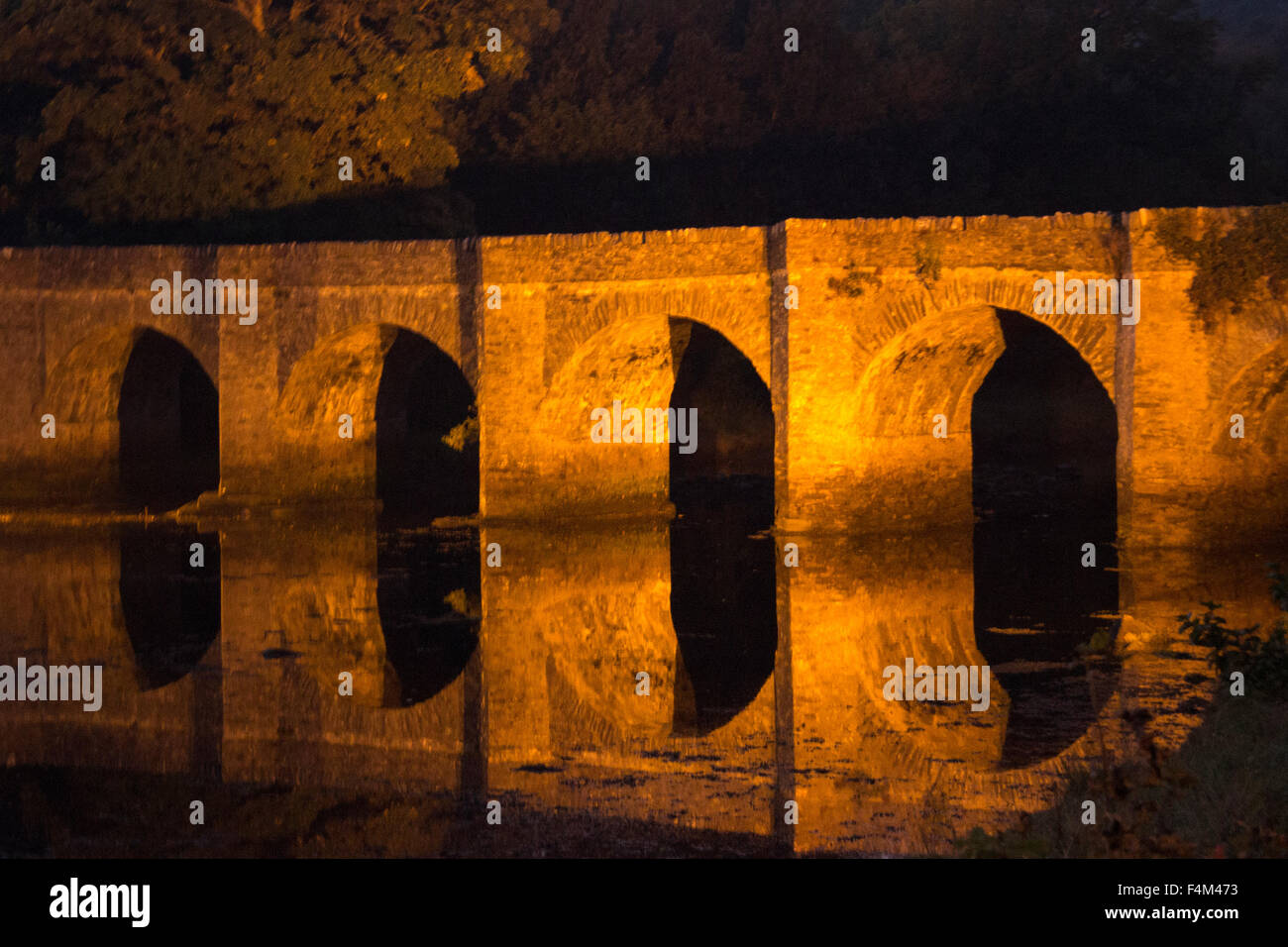 Swan park hi-res stock photography and images - Alamy