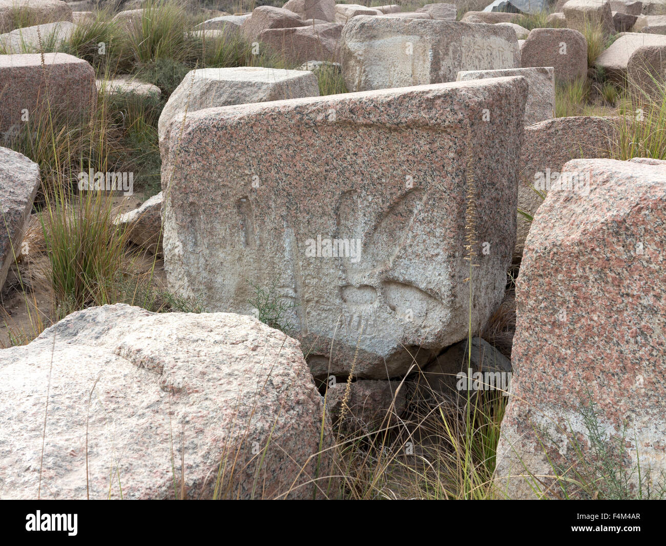 Ancient egyptian cat cemetery hi-res stock photography and images - Alamy
