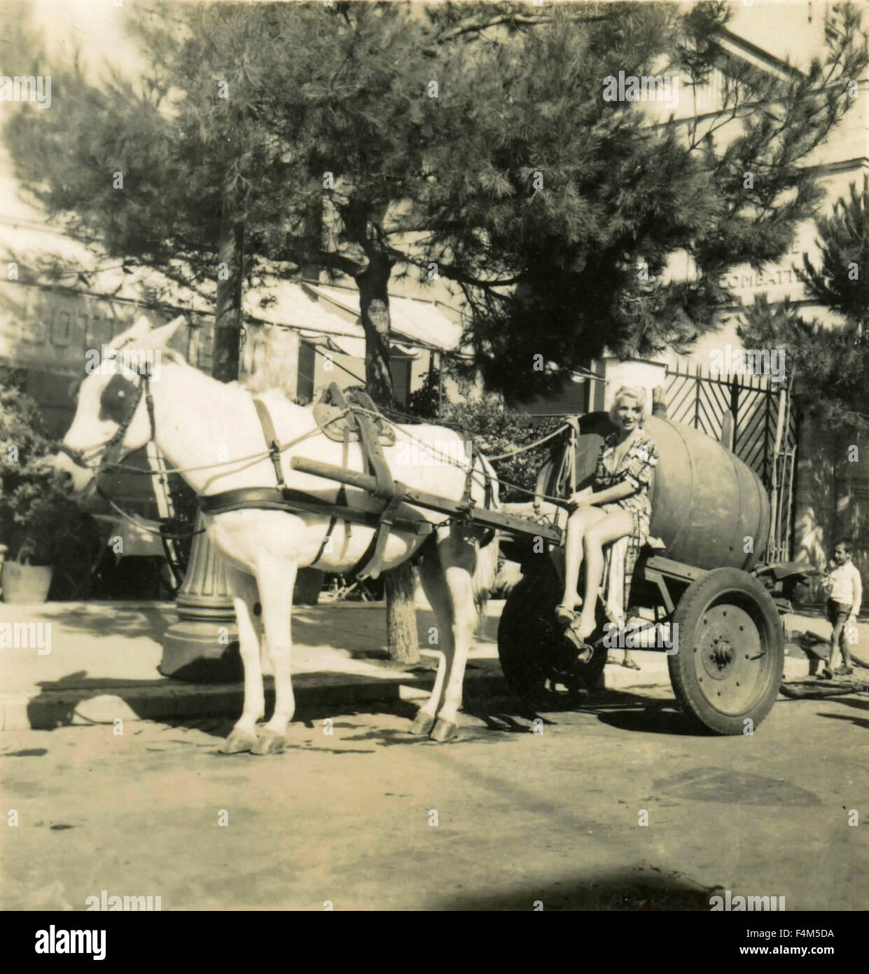 Woman carrying barrel of wine in a cart pulled by a mule, Italy Stock ...