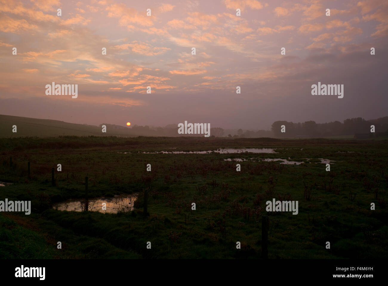Sunrise in mist over flooded fields, Normandy, France Stock Photo - Alamy