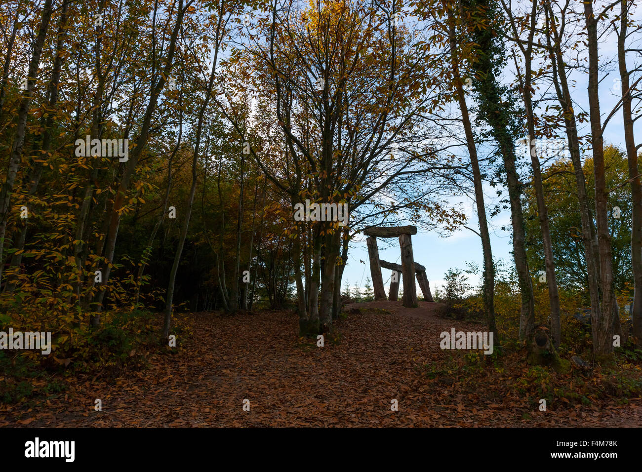 Forestofdean hi-res stock photography and images - Alamy