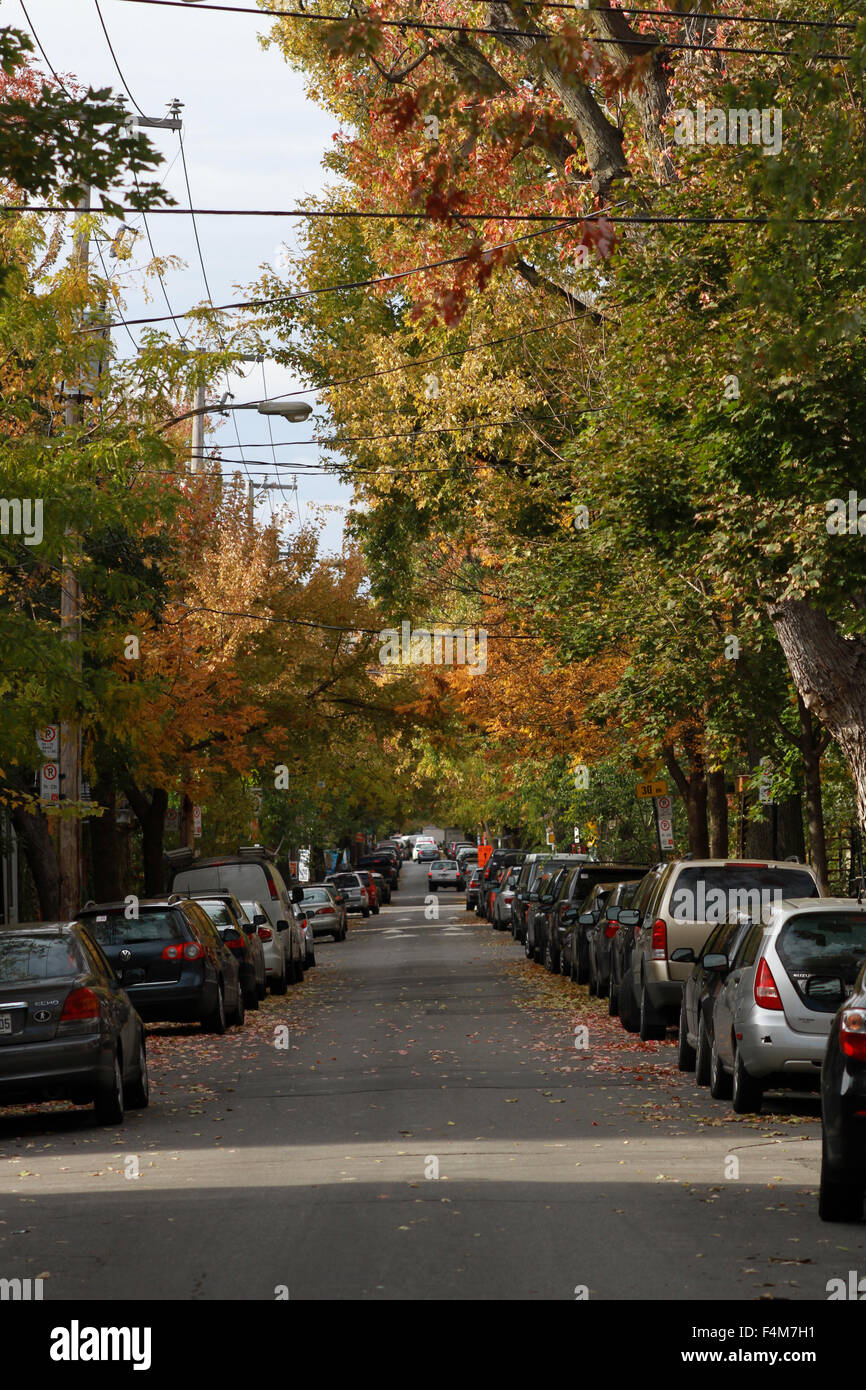 Autumn in the Plateau of Montreal, Quebec Stock Photo - Alamy