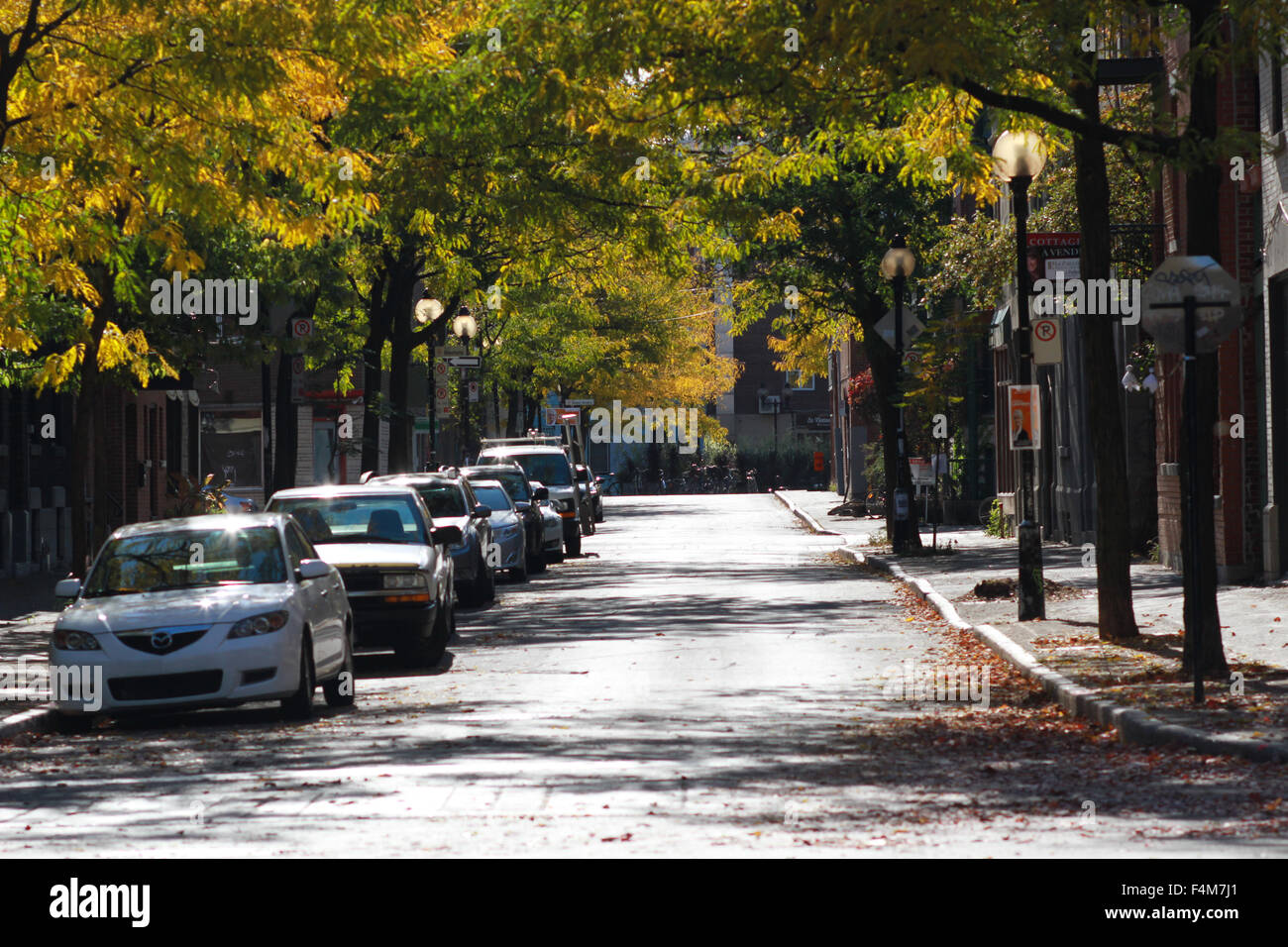Autumn in the Plateau of Montreal, Quebec Stock Photo - Alamy