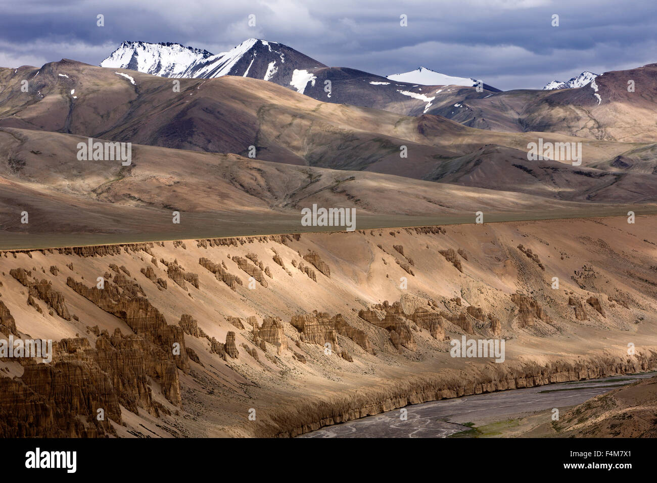 India, Jammu & Kashmir, Ladakh, Changtang Plateau, eroded riverbank and ...