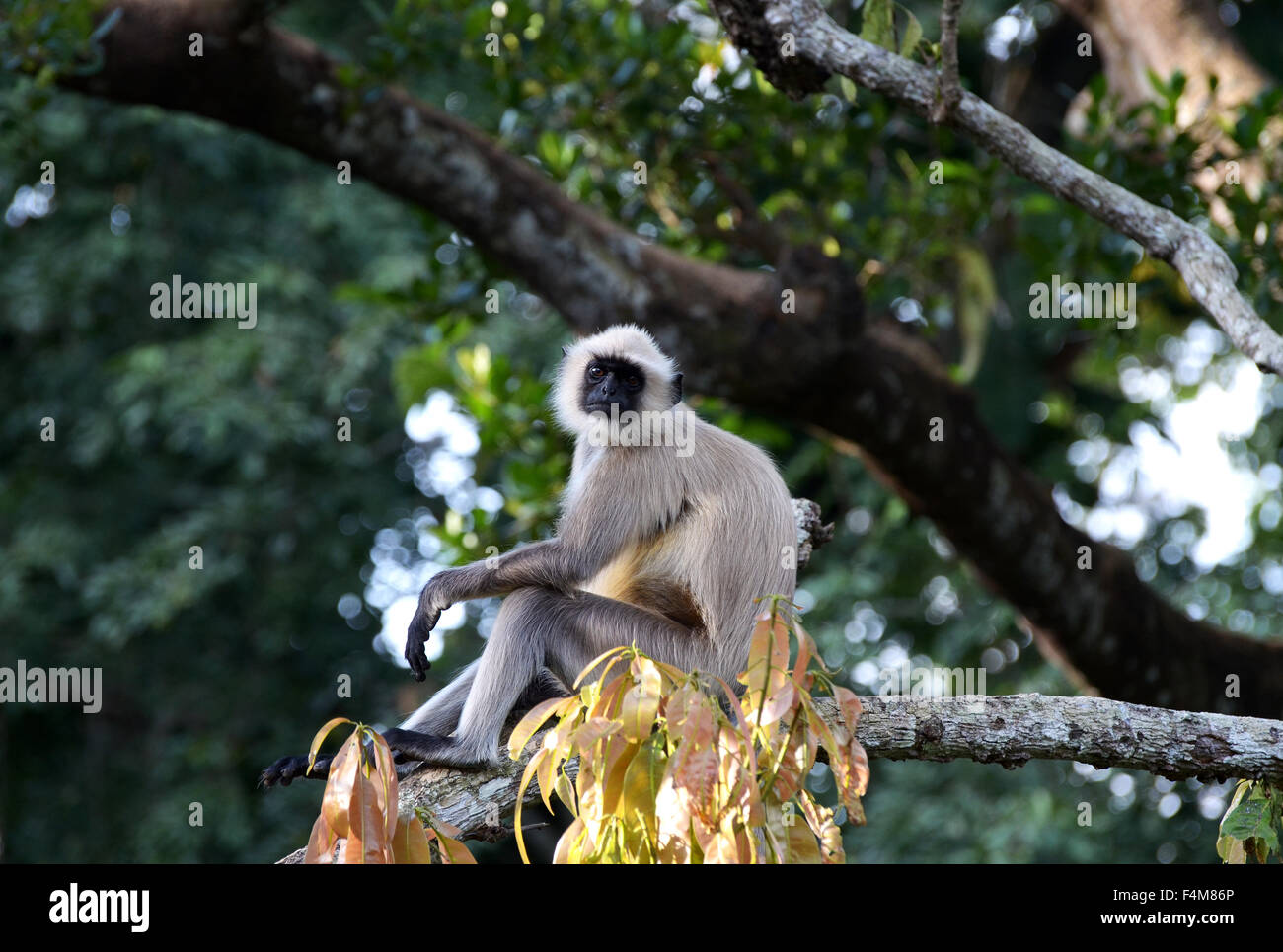 Never ending wait Stock Photo - Alamy
