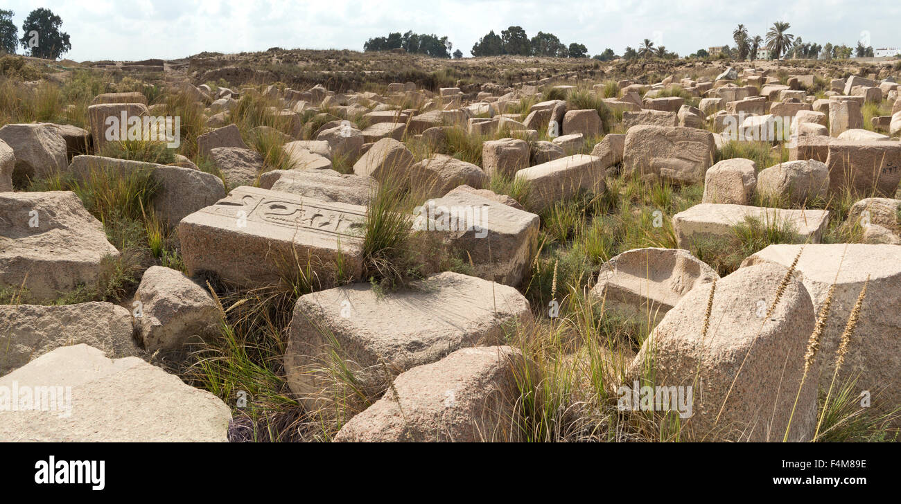 The site of ancient Bast, Tell Basta, classical Bubastis southeast of ...