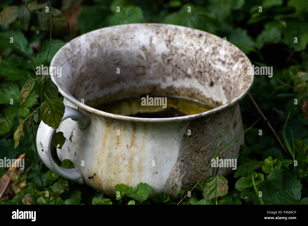 Dirty, mud-speckled chamberpot with a broken handle in a garden with ...