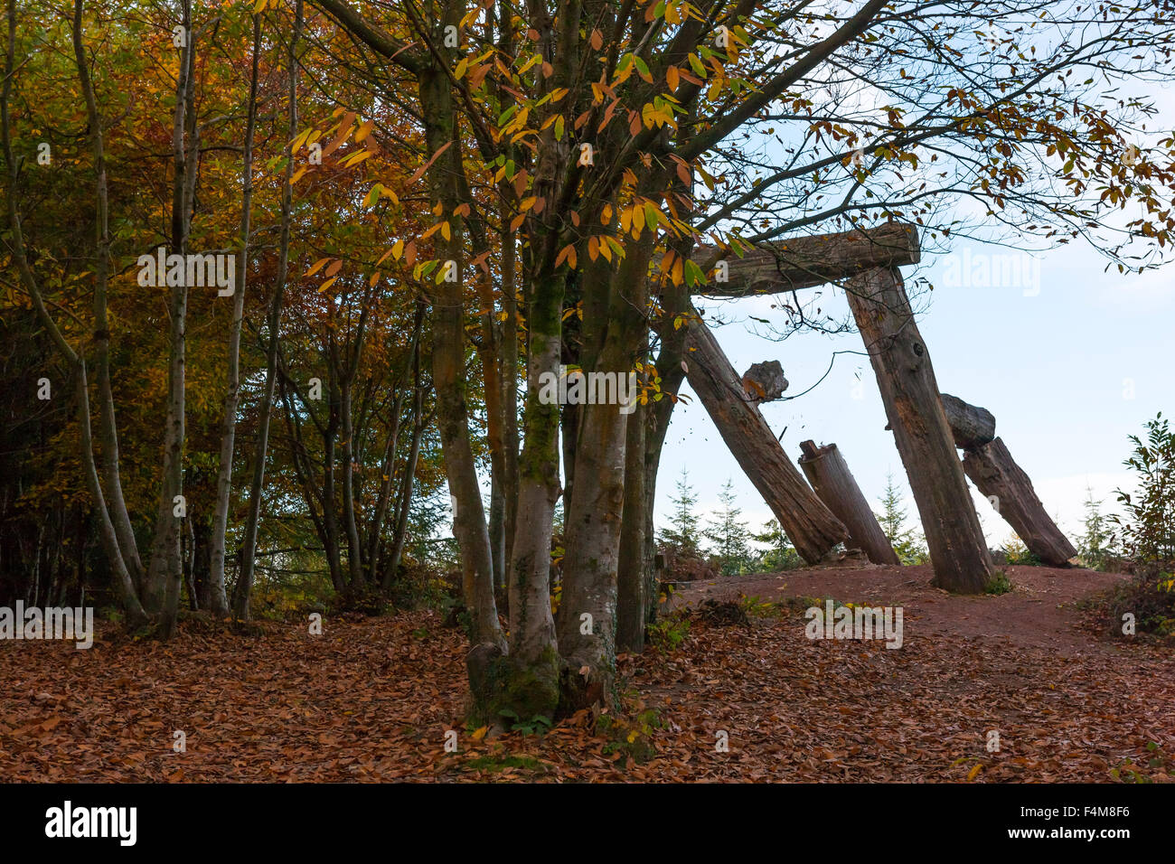 Forestofdean hi-res stock photography and images - Alamy