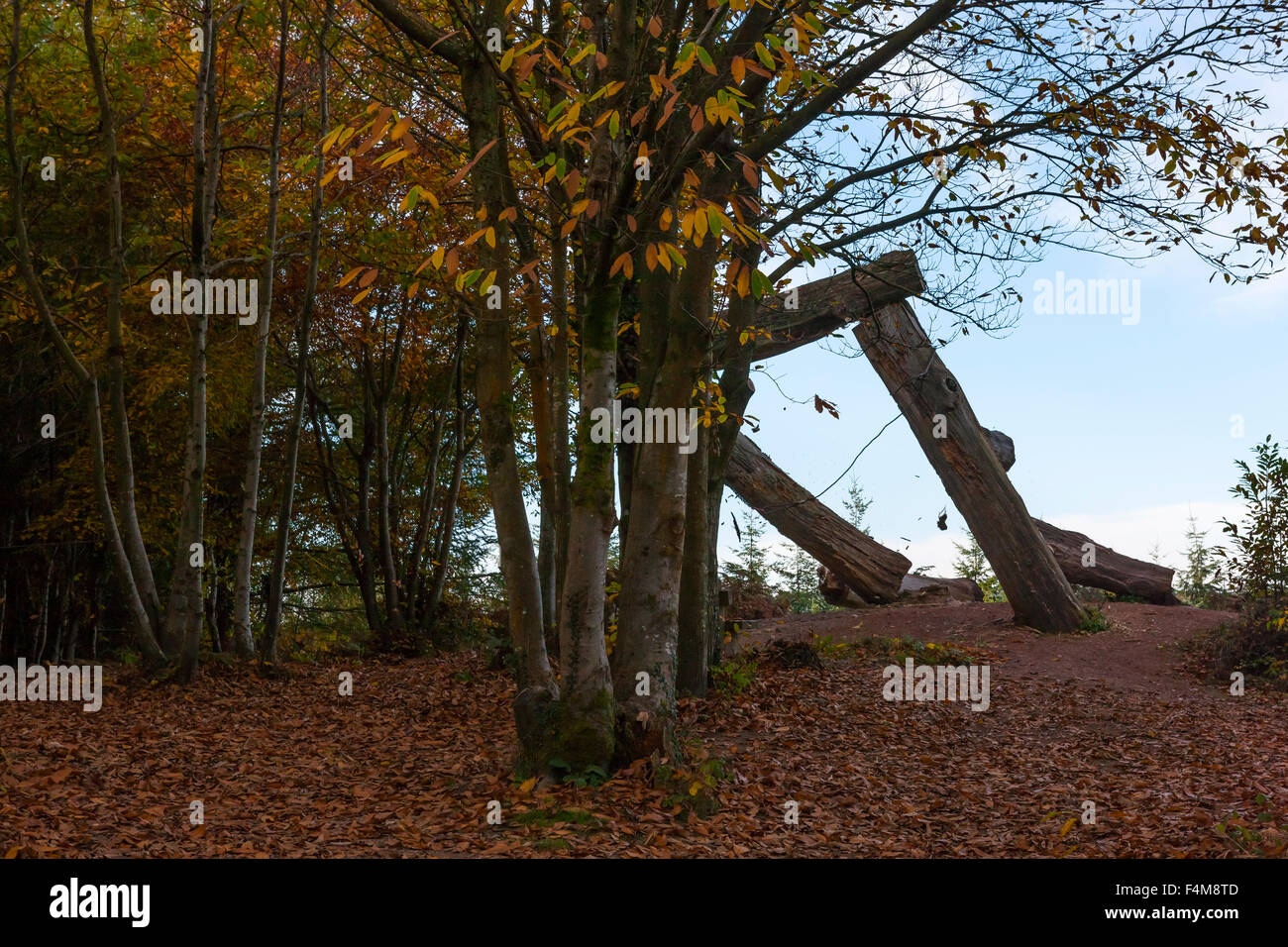 Forestofdean hi-res stock photography and images - Alamy