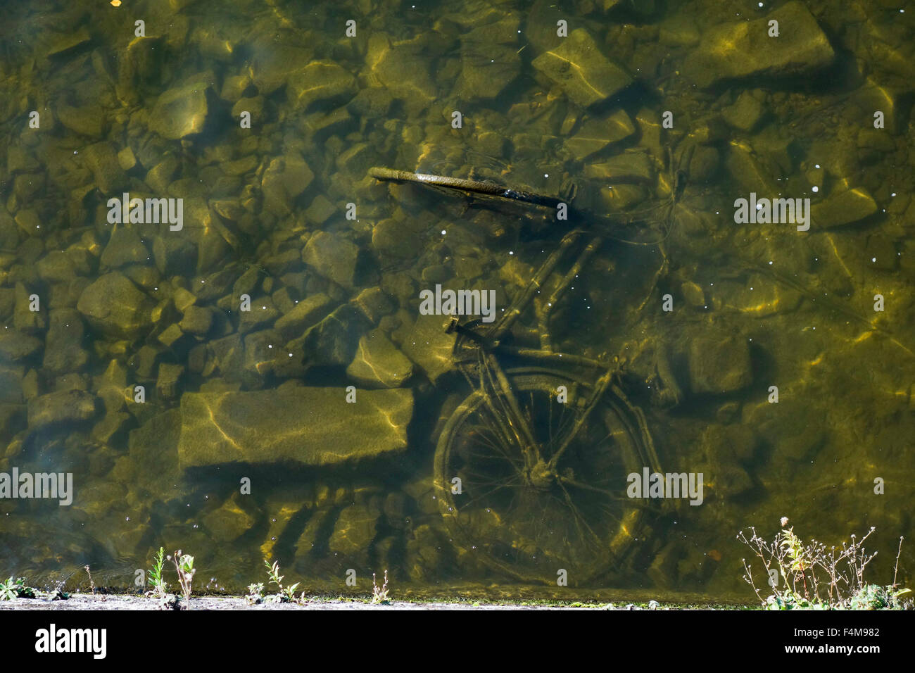 Bicycle dumped in water, river Meuse, Maas, pollution, waste ...