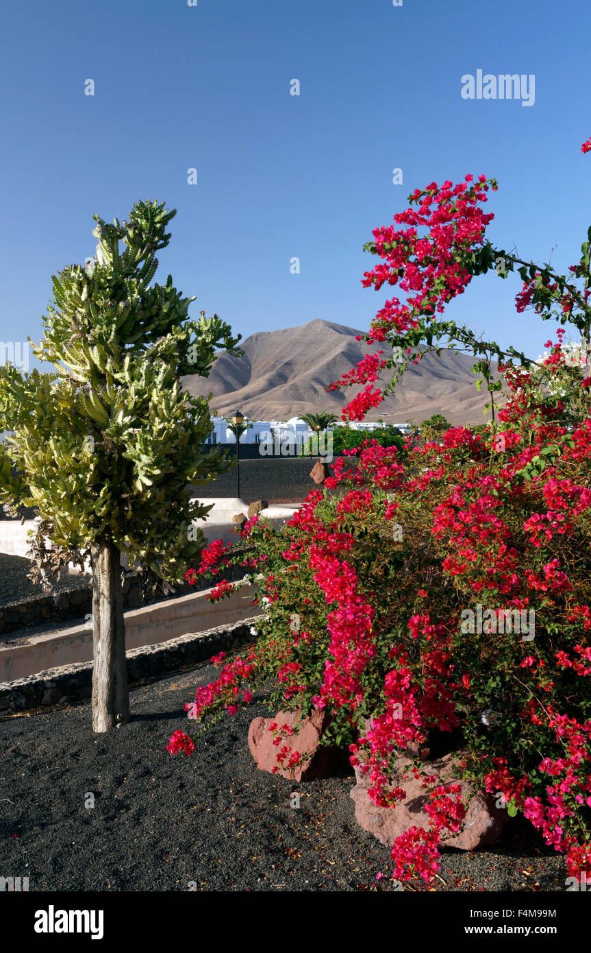 Hacha Grande and the mountains of Femes from Los Coloradas, Playa ...