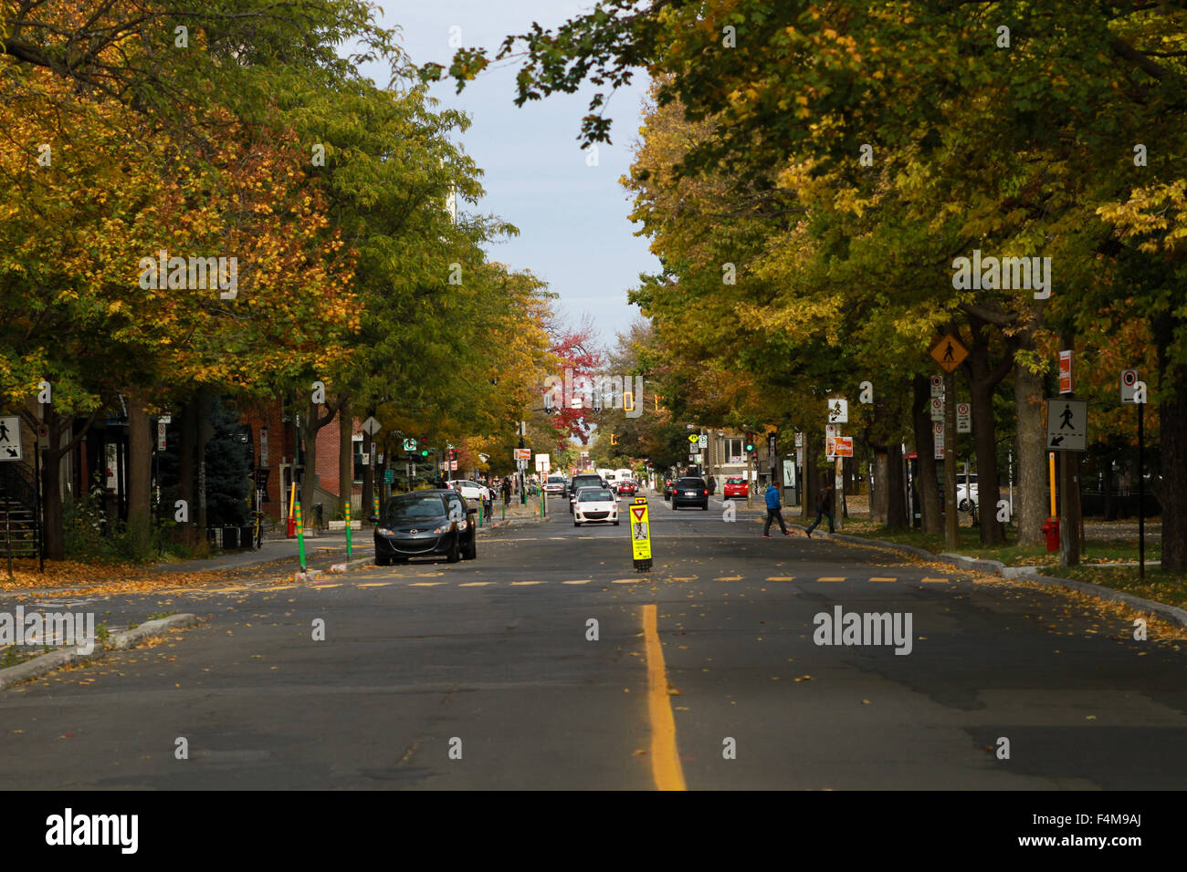 Autumn in the Plateau of Montreal, Quebec Stock Photo - Alamy