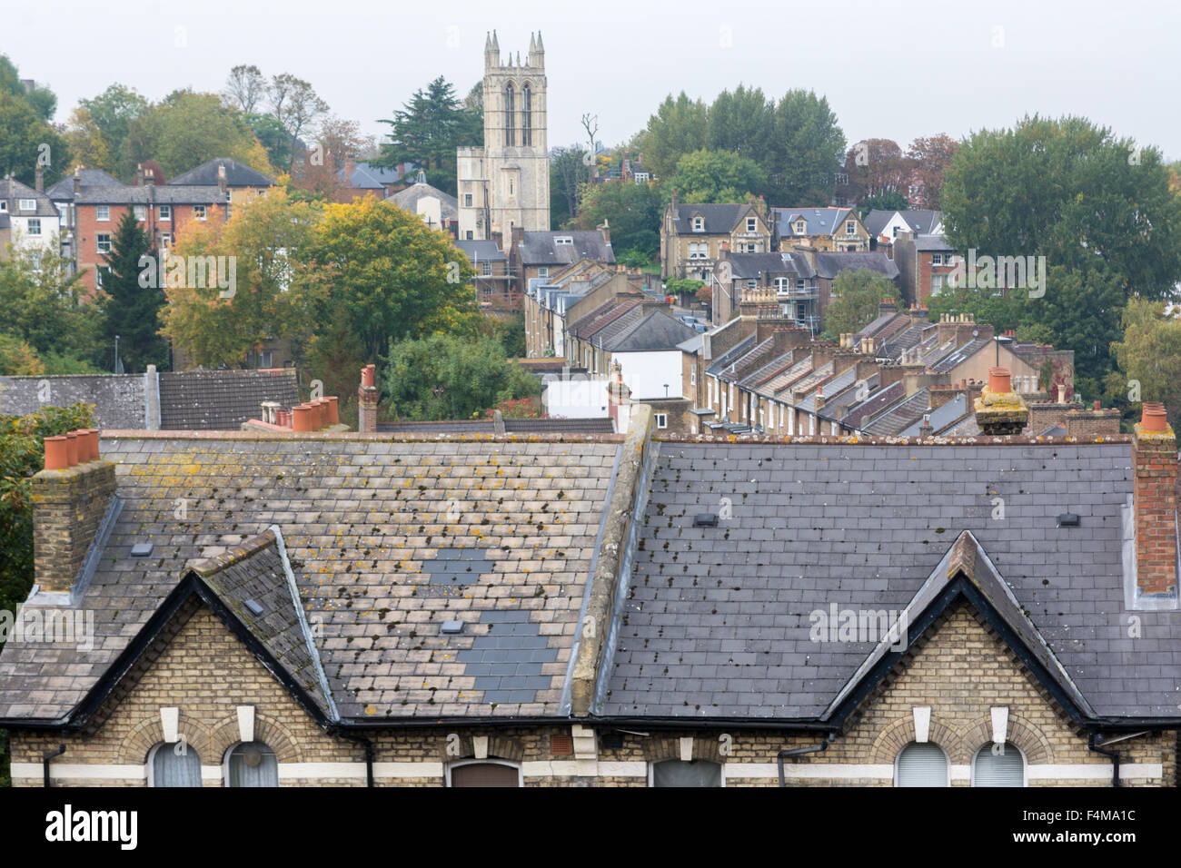Roof top view across Crystal Palace, London Stock Photo - Alamy