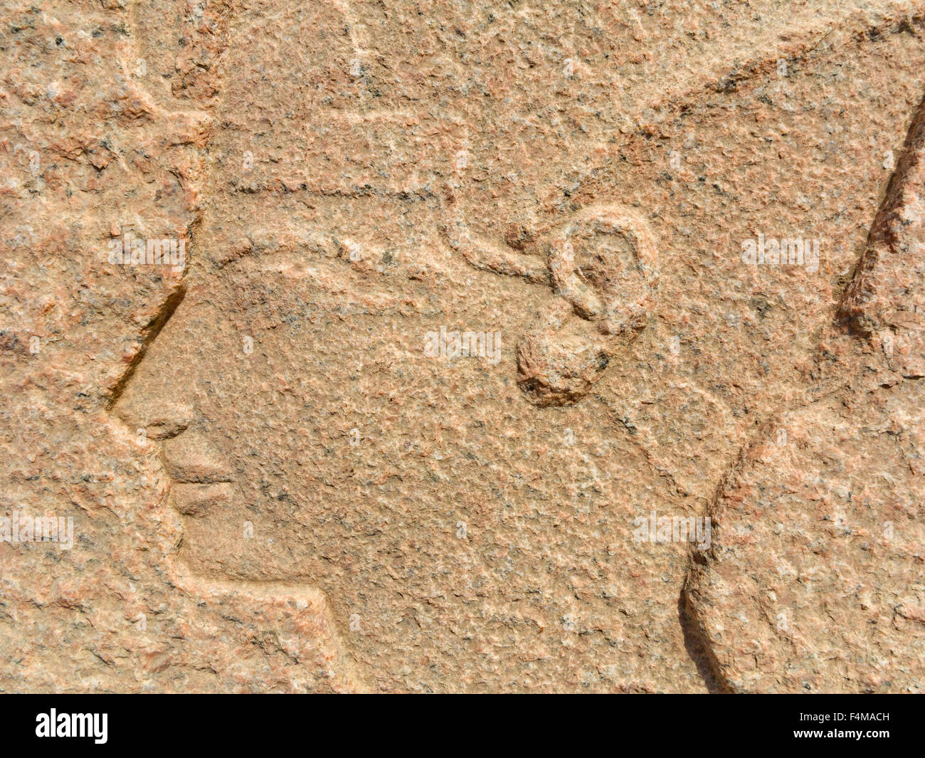 Ancient egyptian cat cemetery hi-res stock photography and images - Alamy