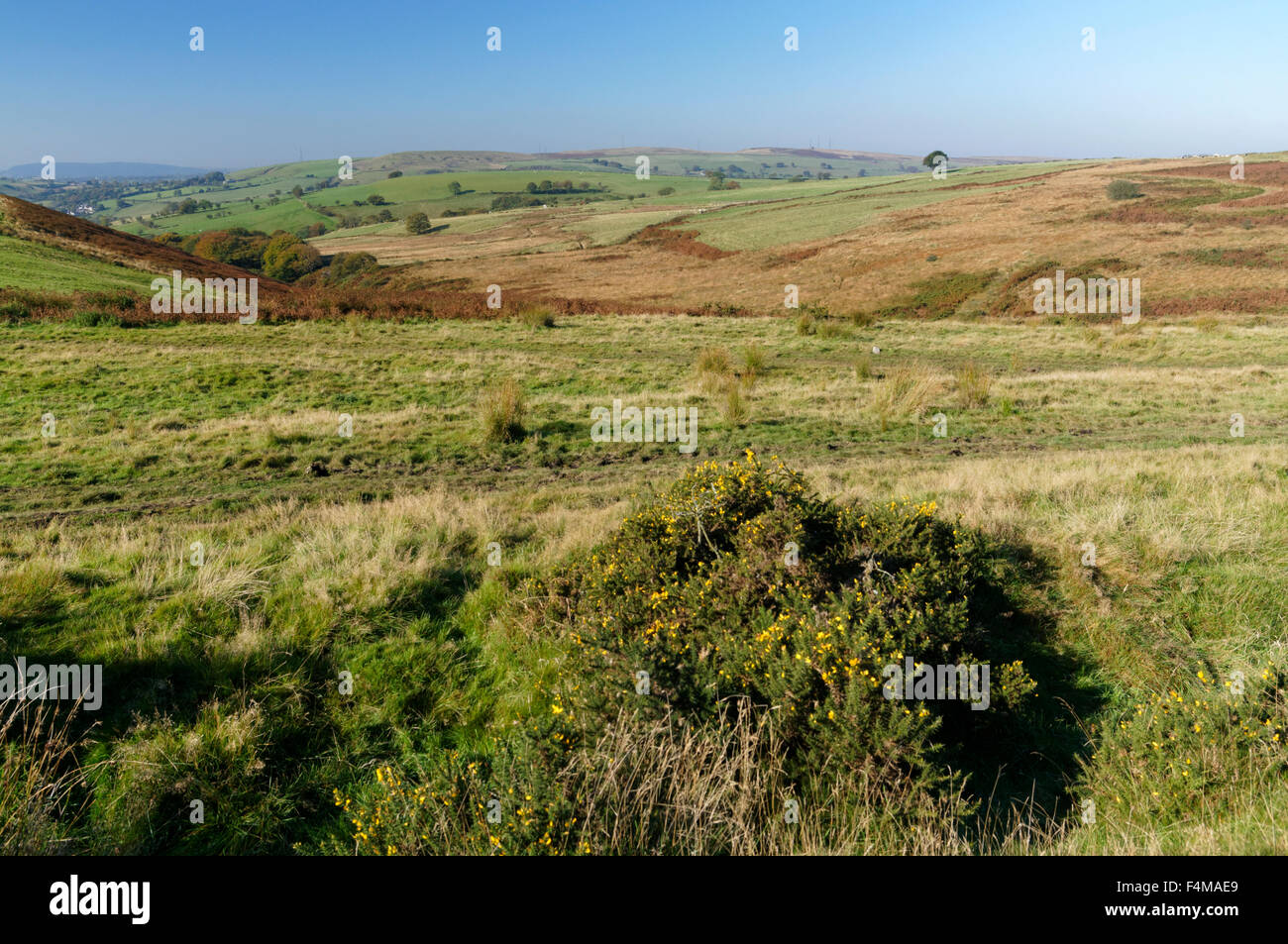 Llanbradach Stock Photos & Llanbradach Stock Images - Alamy