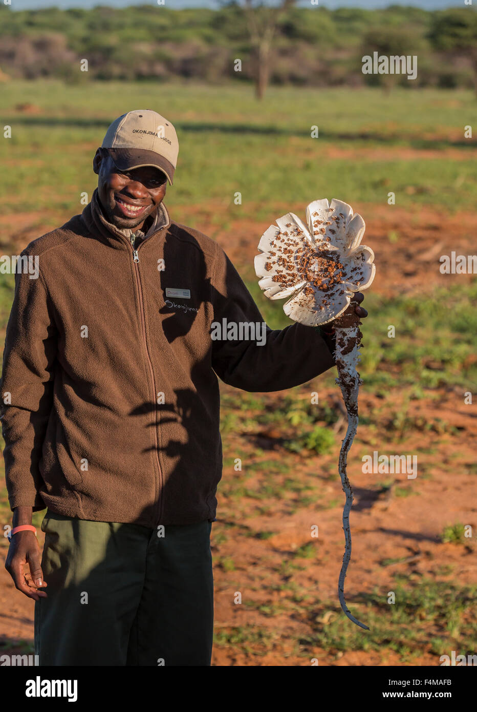 Flower looking mushroom hi-res stock photography and images - Alamy