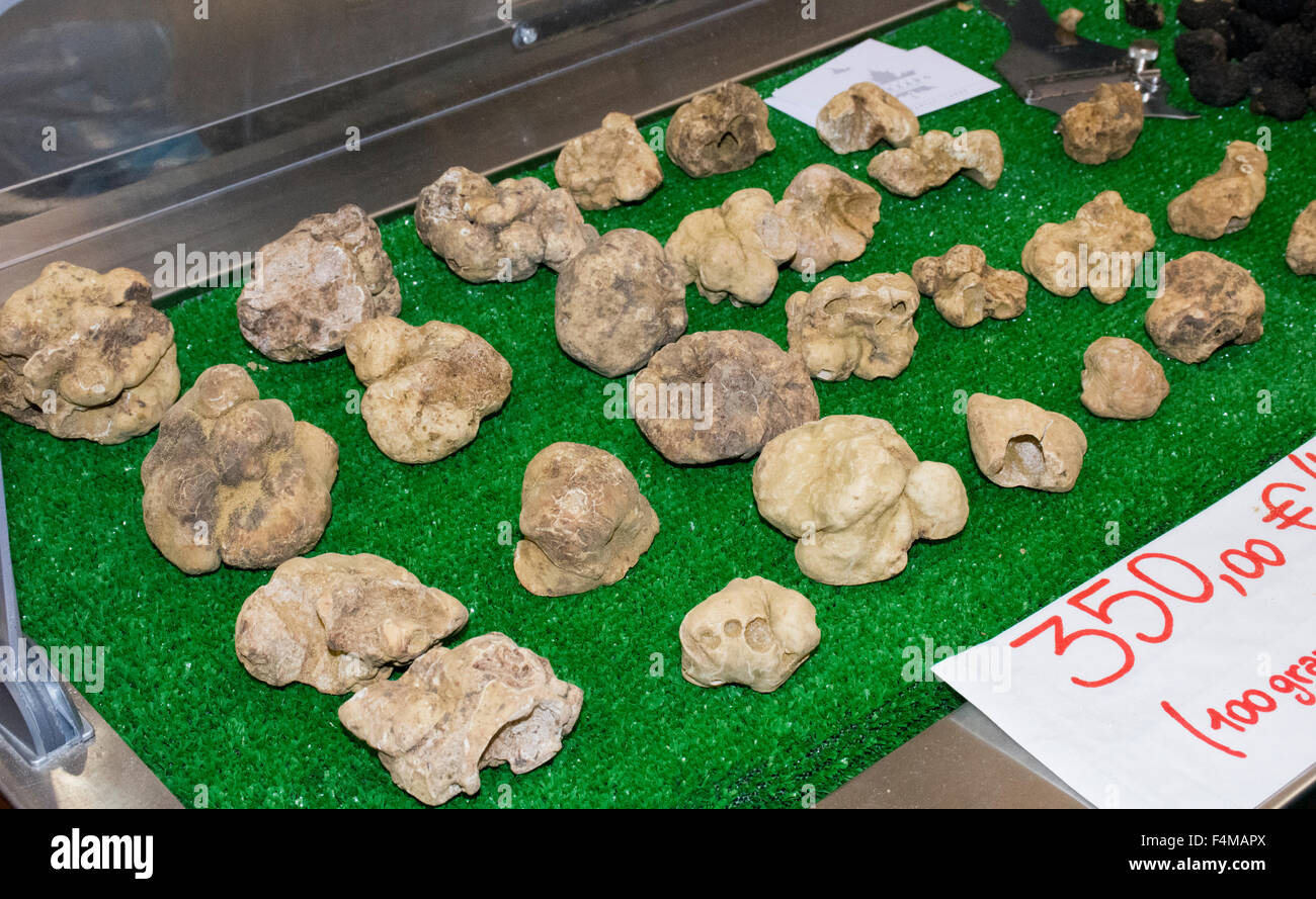 Italy, Piemonte, Fiera del Tartufo di Alba: white truffles Stock Photo ...