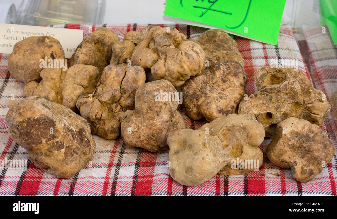Alba truffle hi-res stock photography and images - Alamy