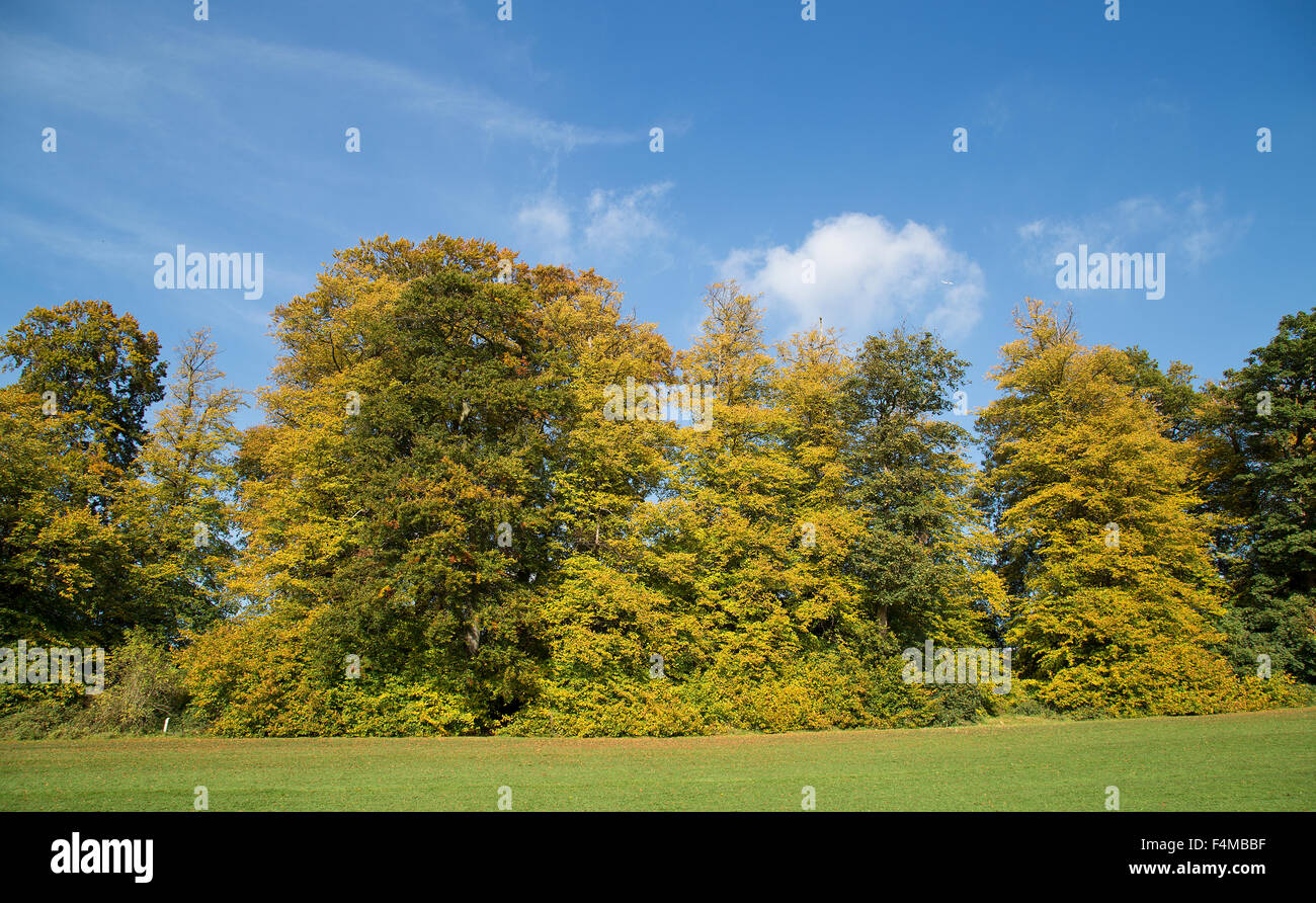 Lloyd park croydon hi-res stock photography and images - Alamy